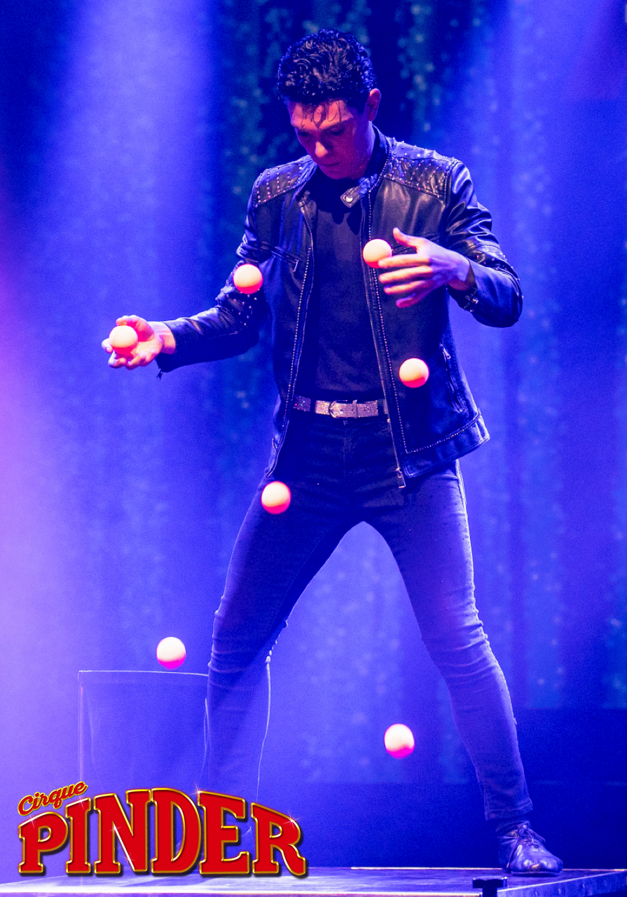 Spectacle - Cirque PINDER